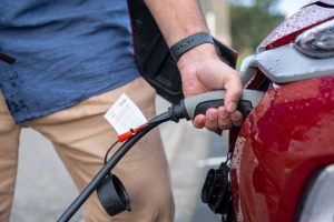 Fordham – Scotsdales